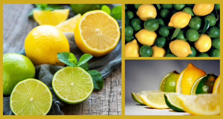 15 Fantastic Benefits of Lemons and Limes