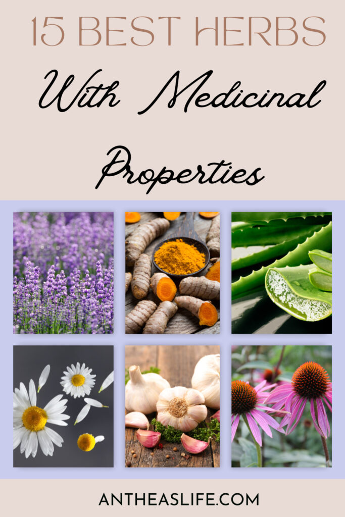 15 fantastic Herbs With Medicinal Properties
