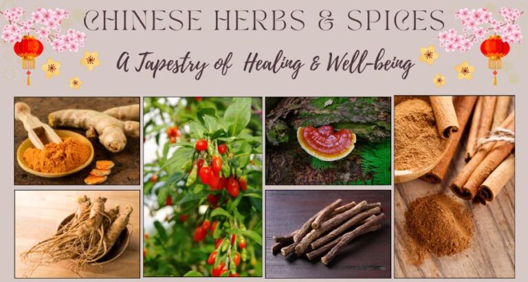 9 Common Types of Chinese Herbs and Spices For Well-being